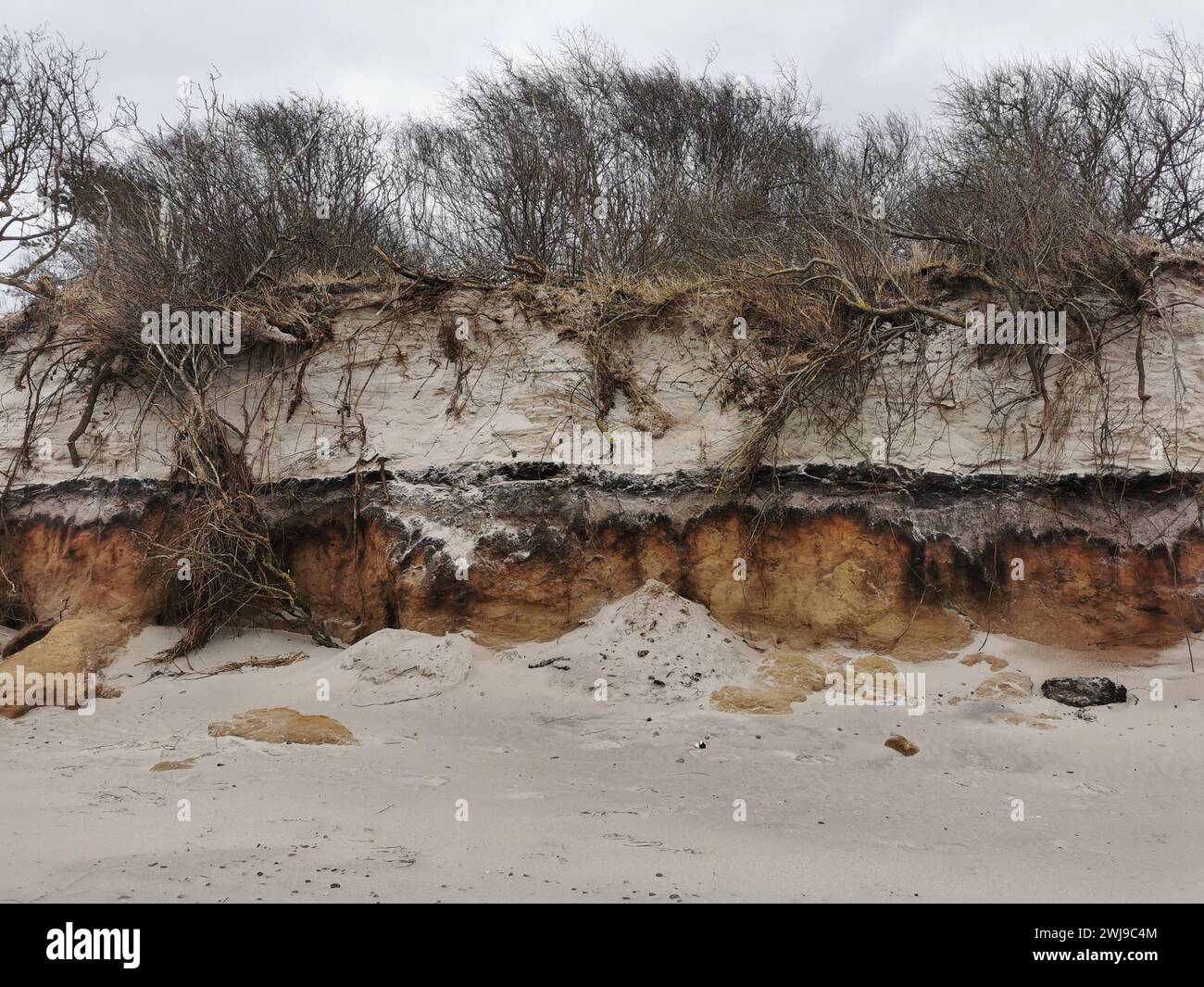 Erosion the german coast of the Baltic Sea after a heavy storm surge ...