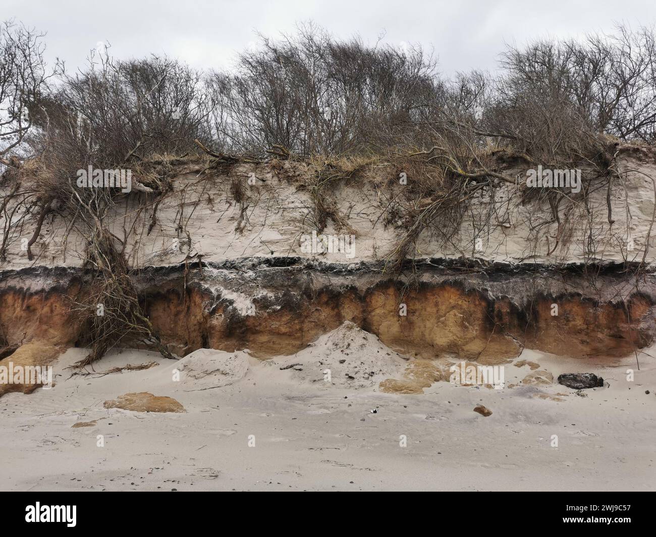 Erosion the german coast of the Baltic Sea after a heavy storm surge ...