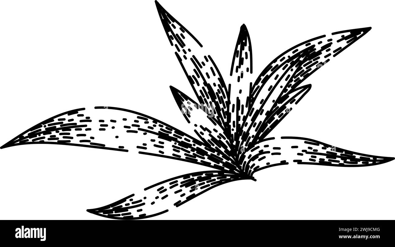 food savory sketch hand drawn vector Stock Vector Image & Art - Alamy