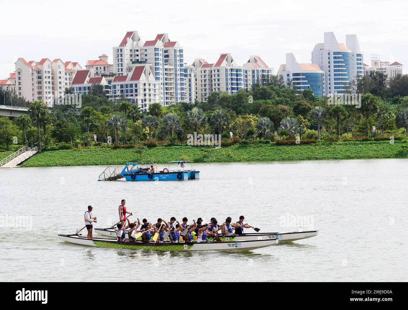 Rowing teams competing in the Marina Bay, Singapore Stock Photo - Alamy