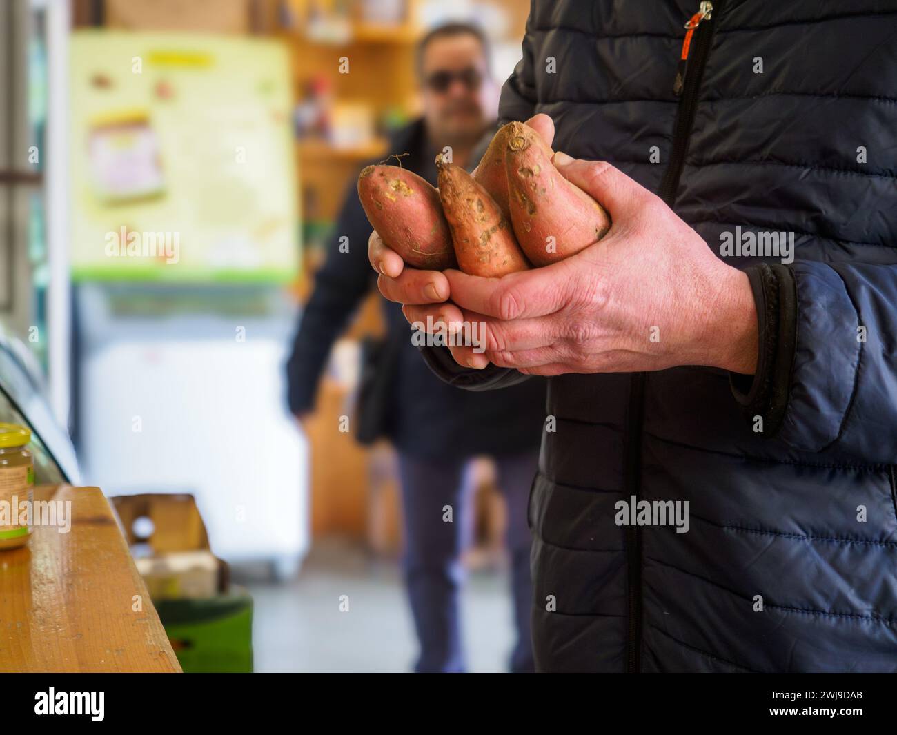 organic food vendor in retail grocery shop selling fresh vegetables and ...
