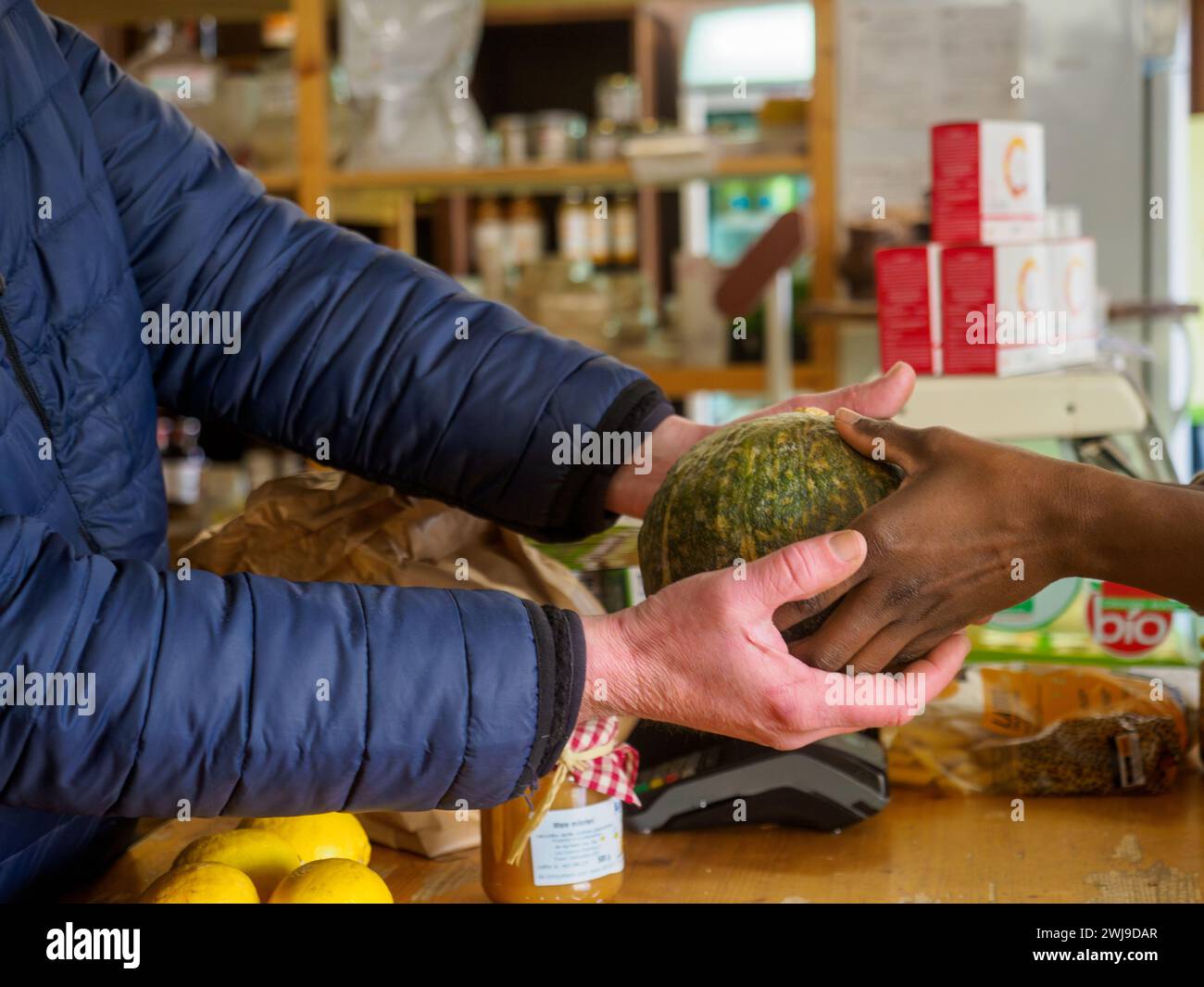 organic food vendor in retail grocery shop selling fresh vegetables and ...