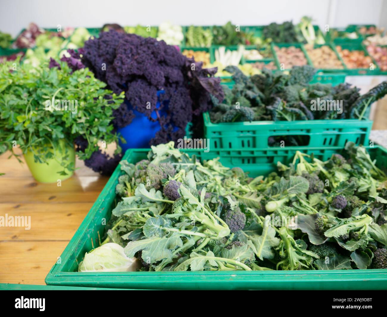 winter produce selling in organic food in small groceries retail shop ...