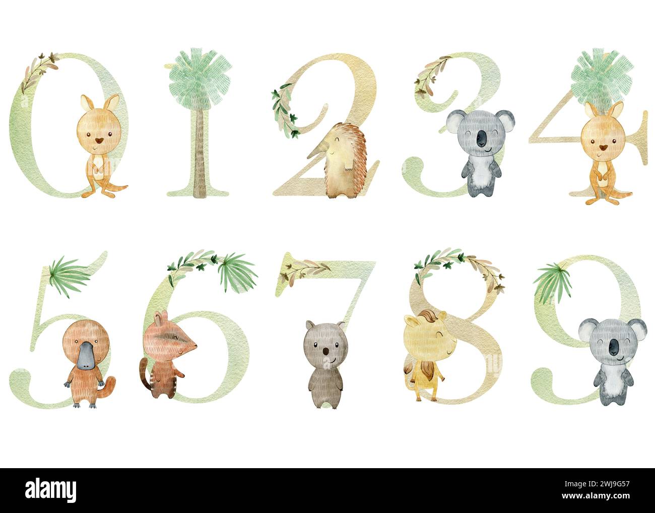Watercolor australian animals numbers for invitation card, nursery ...