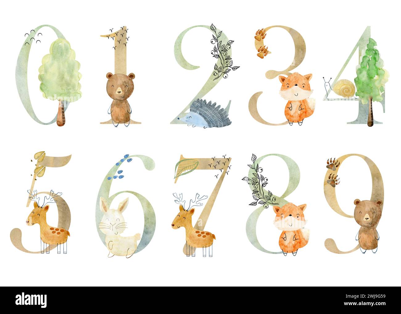 Watercolor woodland animals numbers for invitation card, nursery poster ...