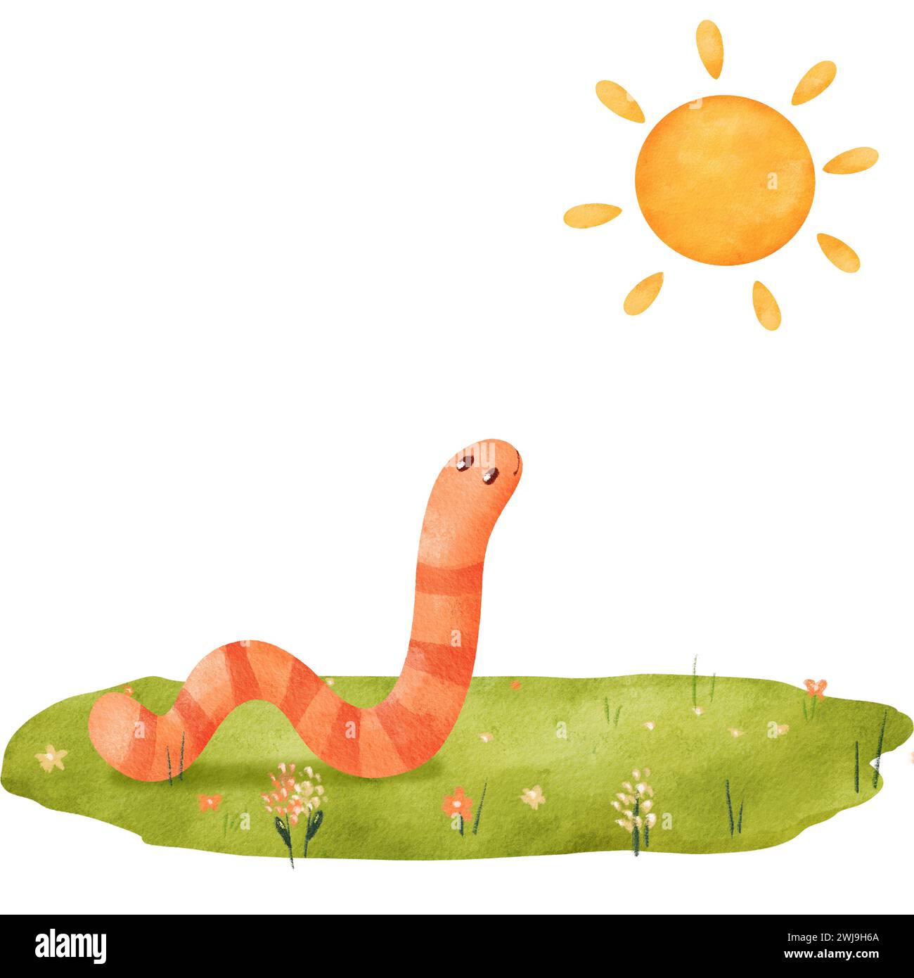 watercolor composition a worm on a green meadow gazing at the sun. This ...