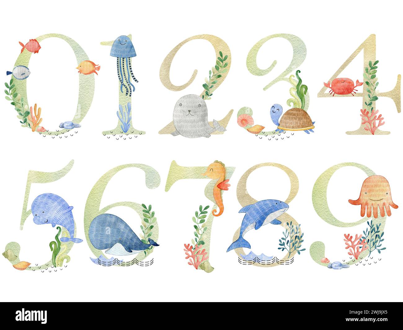 Fish nursery Cut Out Stock Images & Pictures - Alamy