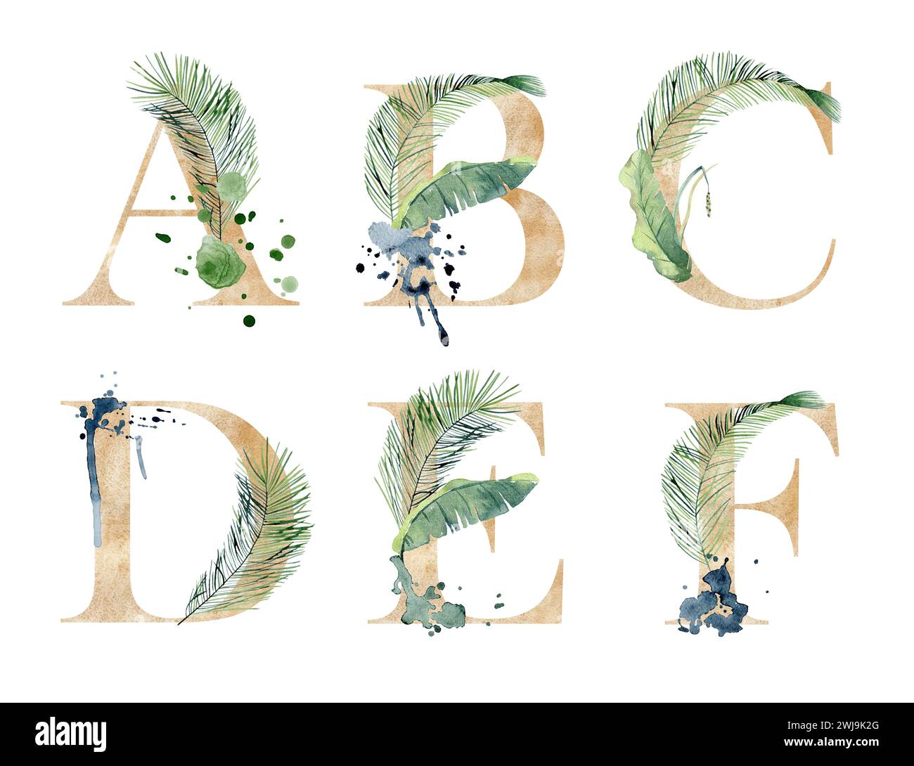 Watercolor tropical letters Stock Photo - Alamy