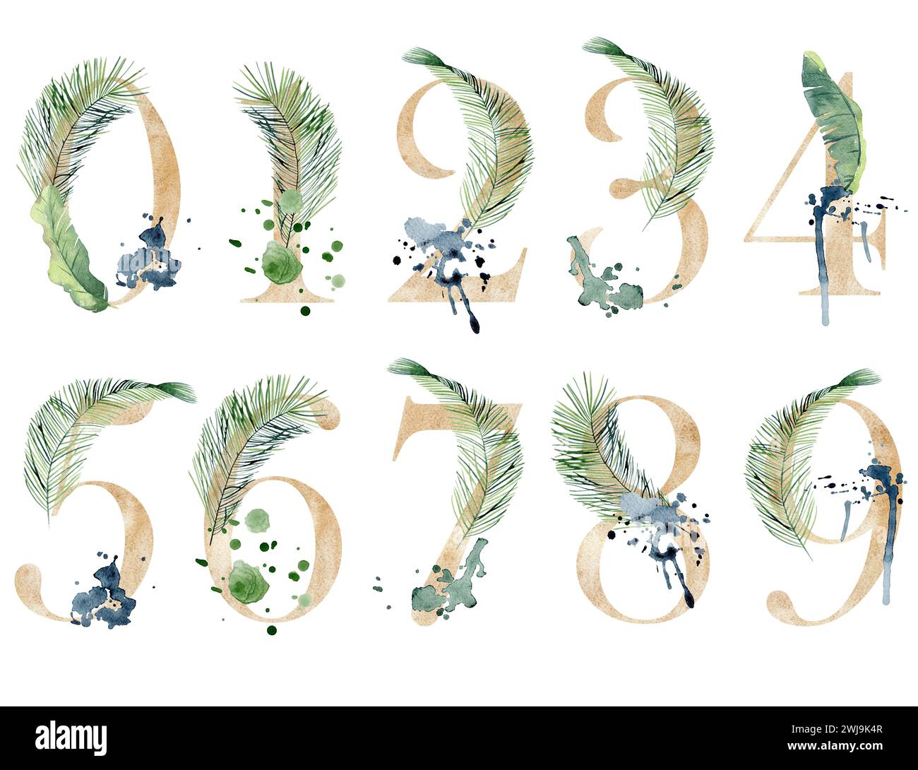 Watercolor tropical numbers Stock Photo - Alamy