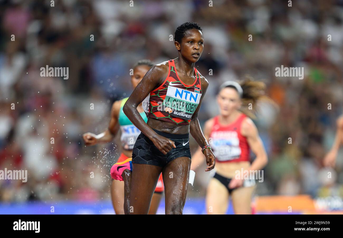Jackline CHEPKOECH participating in the 3000 METRES STEEPLECHASE at the World Athletics ...