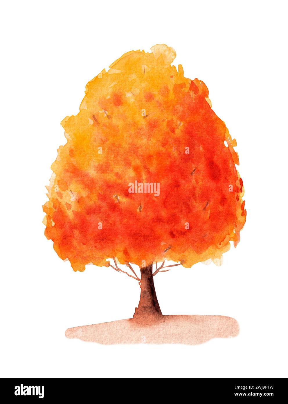 Watercolor autumn tree. Hand drawn illustration isolated on white ...