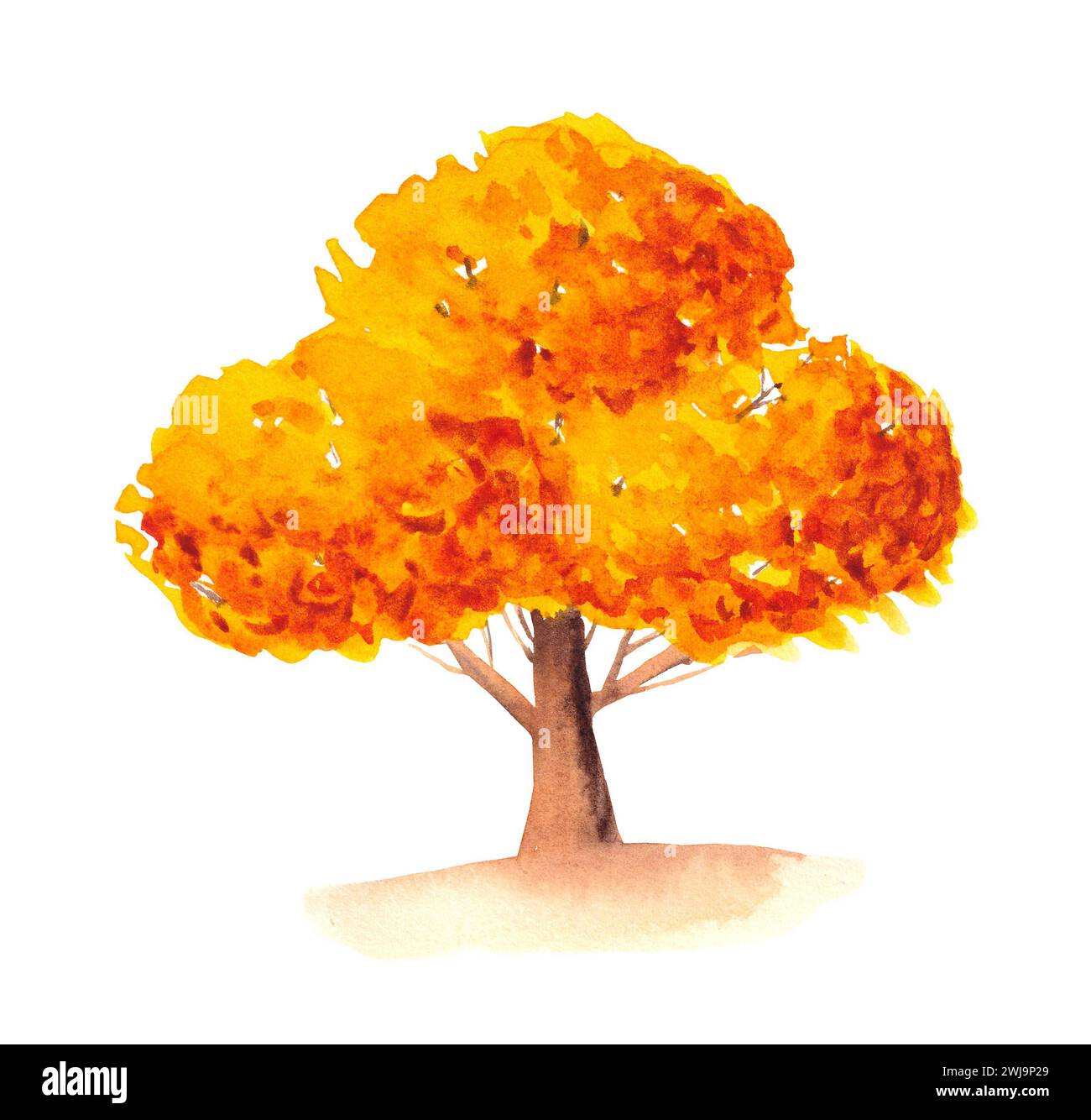 Yellow foliage on autumn trees Cut Out Stock Images & Pictures - Alamy