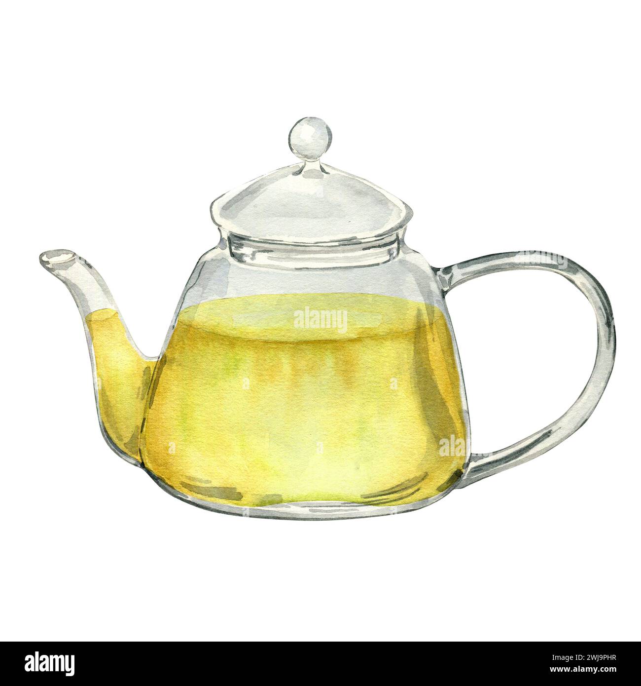 Watercolor illustration of transparent teapot with herbs tea isolated ...