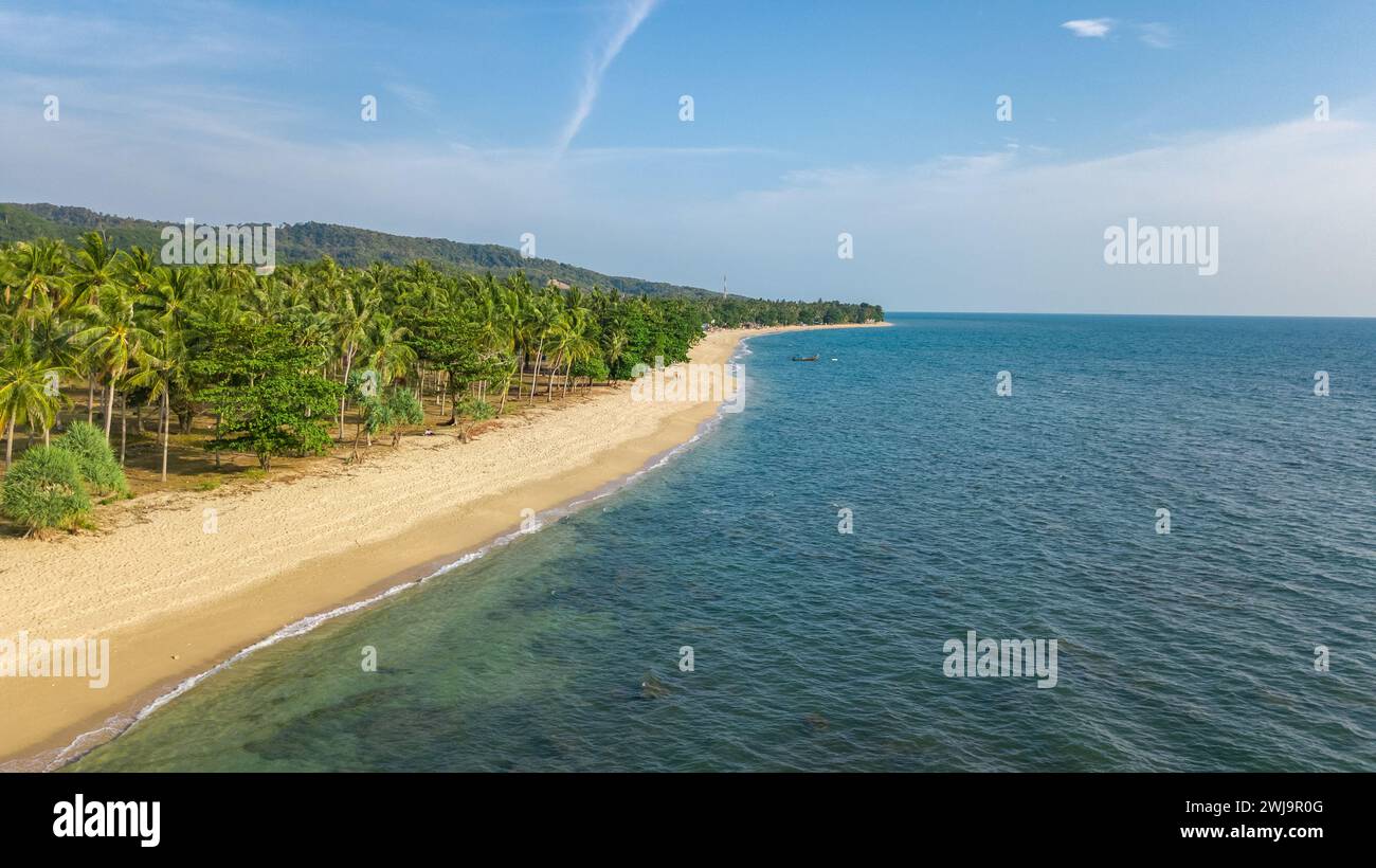 Aerial drone view of tropical beach from above, sea, sand and palm ...