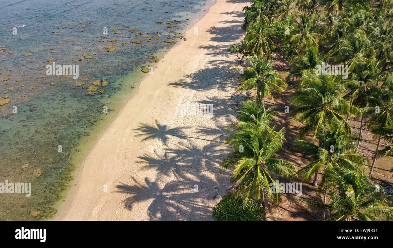 Aerial drone view of tropical beach from above, sea, sand and palm ...
