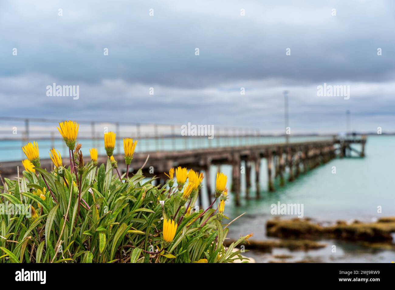 Robe jetty hi-res stock photography and images - Alamy