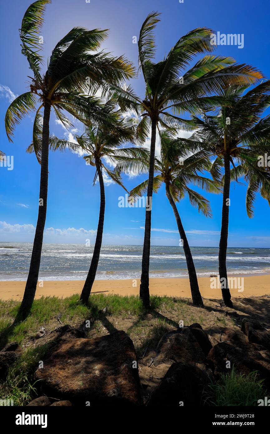 Kekaha beach kauai hi-res stock photography and images - Alamy