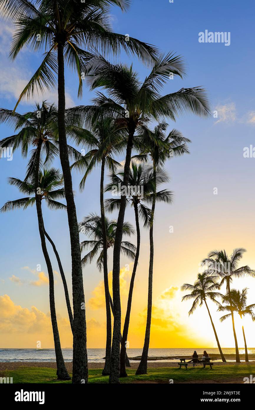 Hanapepe salt pond kauai hawaii hi-res stock photography and images - Alamy