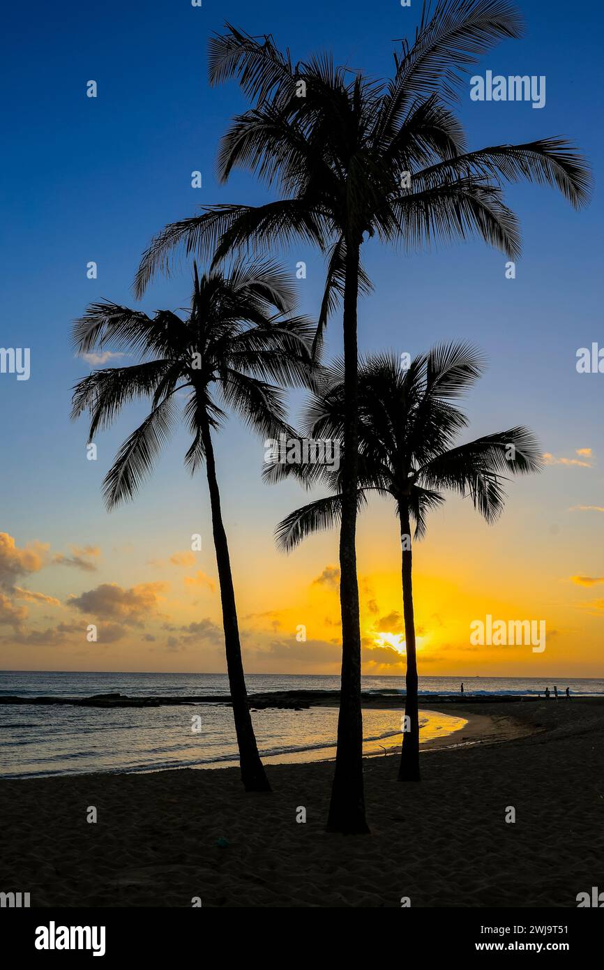 Hanapepe salt pond kauai hawaii hi-res stock photography and images - Alamy