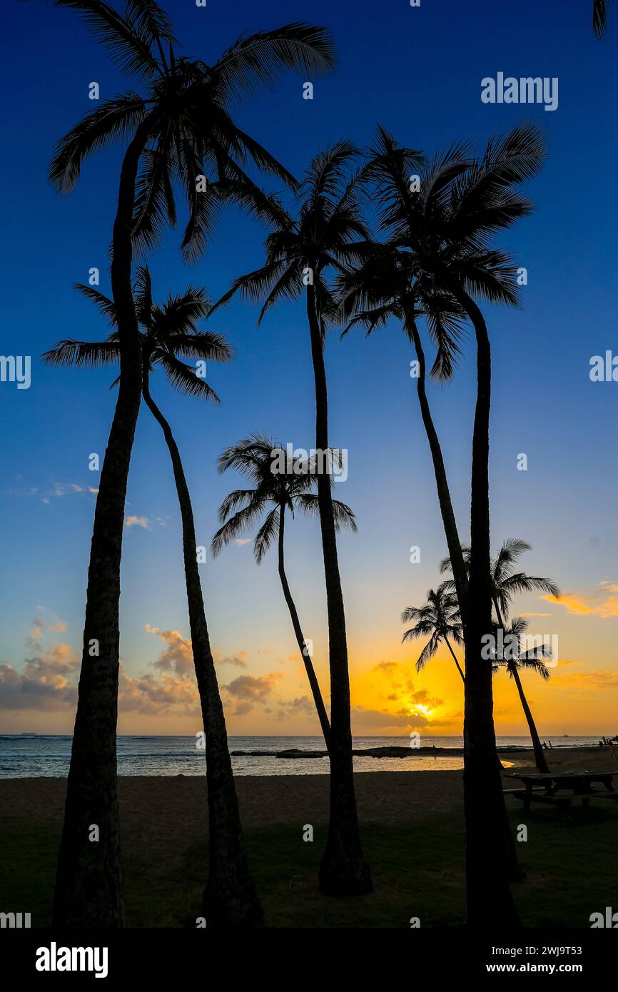 Hanapepe salt pond kauai hawaii hi-res stock photography and images - Alamy