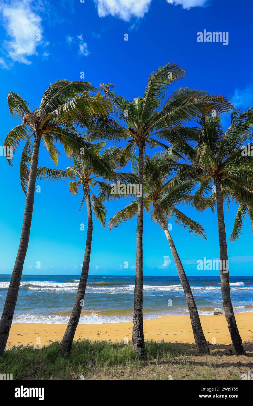 Kekaha beach kauai hi-res stock photography and images - Alamy