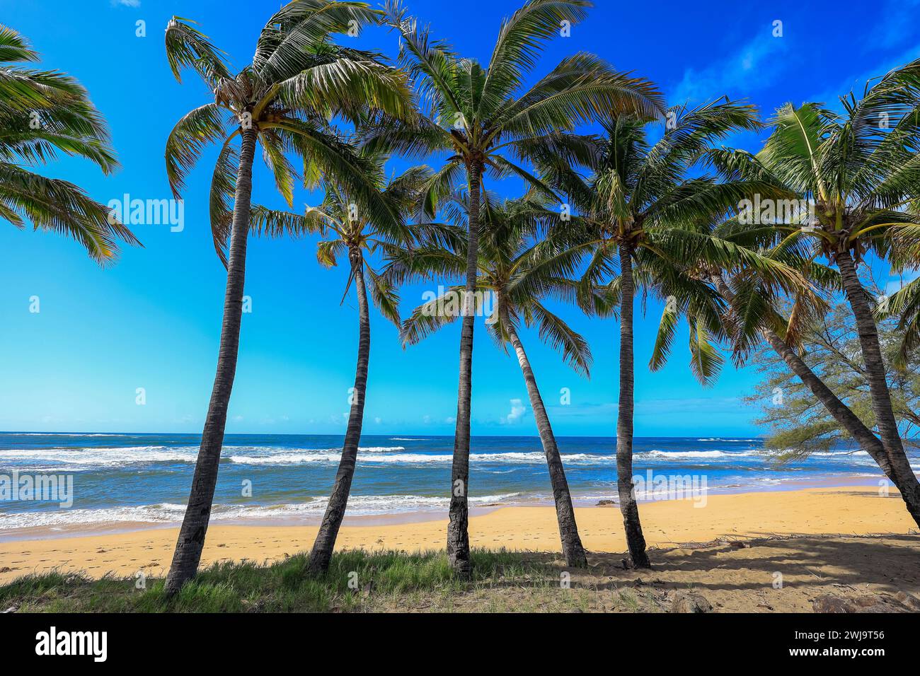 Kekaha beach kauai hi-res stock photography and images - Alamy