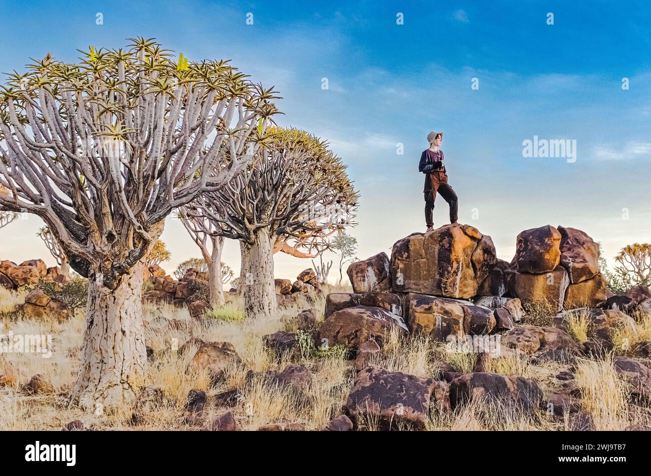 Woman tourist in quiver tree forest, african nature landscape, travel ...