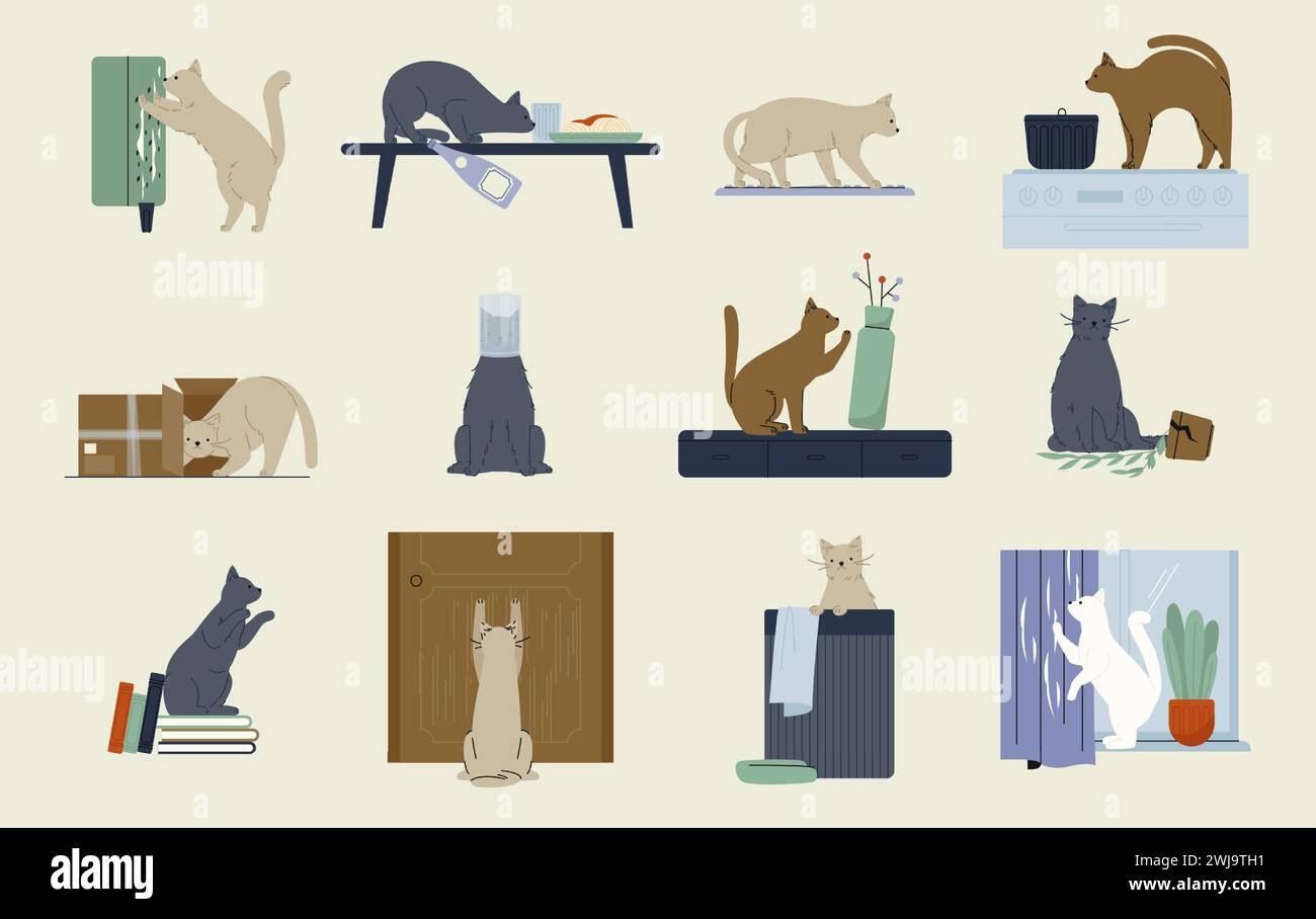 Naughty cat behavior. Cartoon kitten characters playing, scratching ...