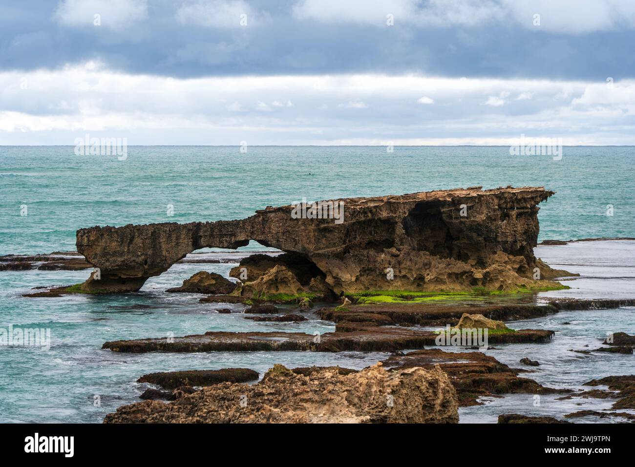 Rugged seascape along the Robe Coastal Walk, South Australia Stock ...