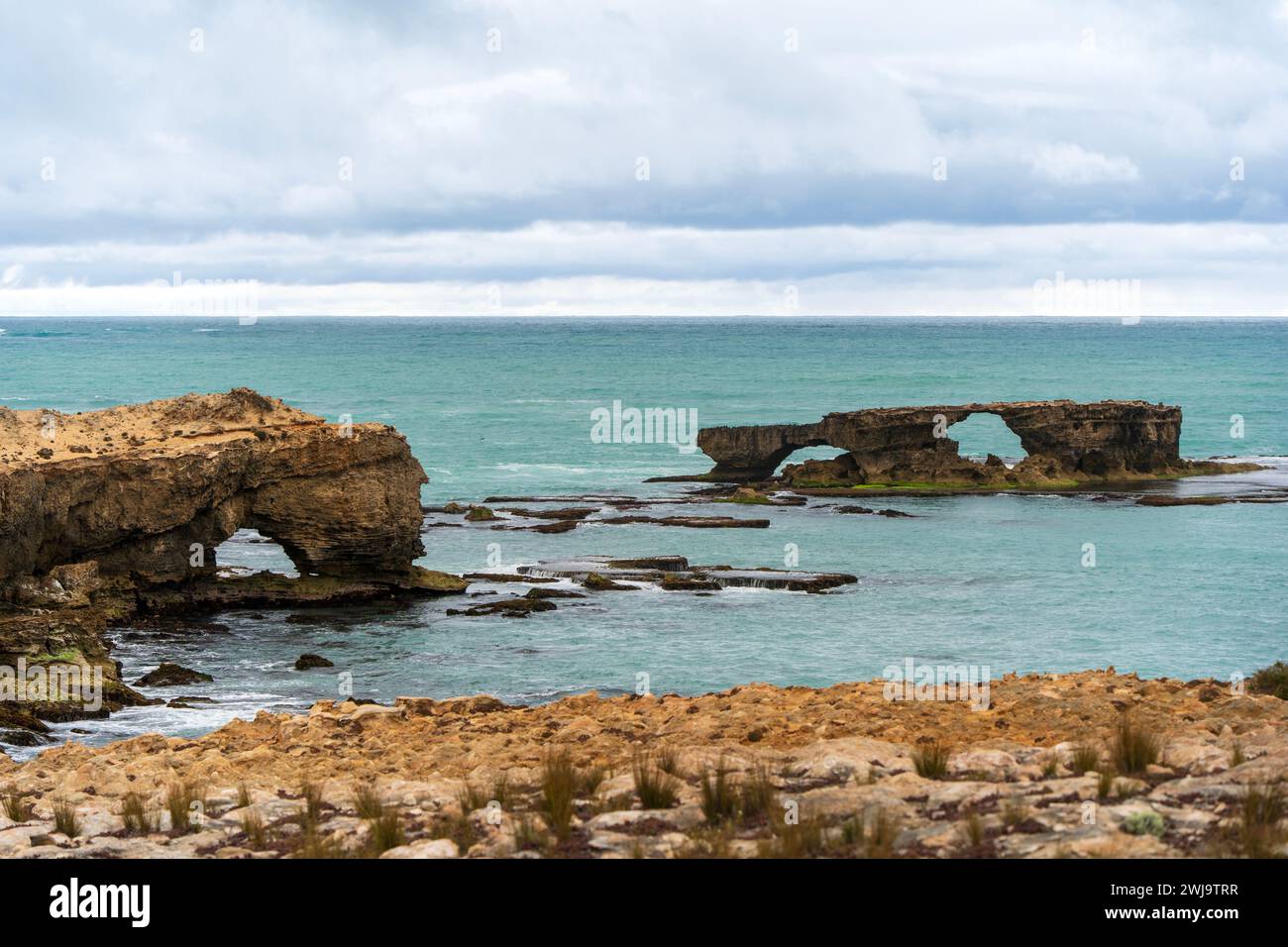 Rugged seascape along the Robe Coastal Walk, South Australia Stock ...