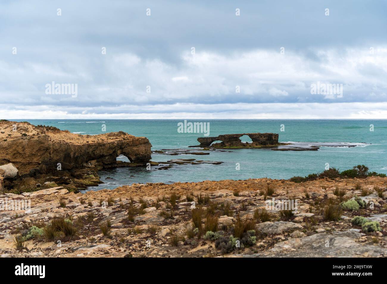 Rugged seascape along the Robe Coastal Walk, South Australia Stock ...