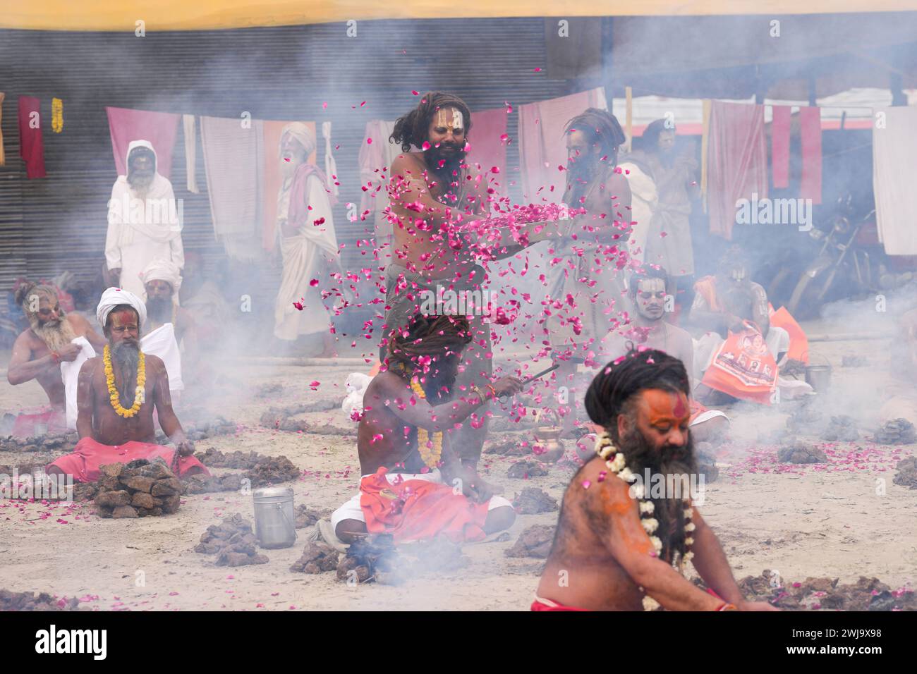 Hindu holy men burn dried cow dung cakes as they perform a ritual on ...