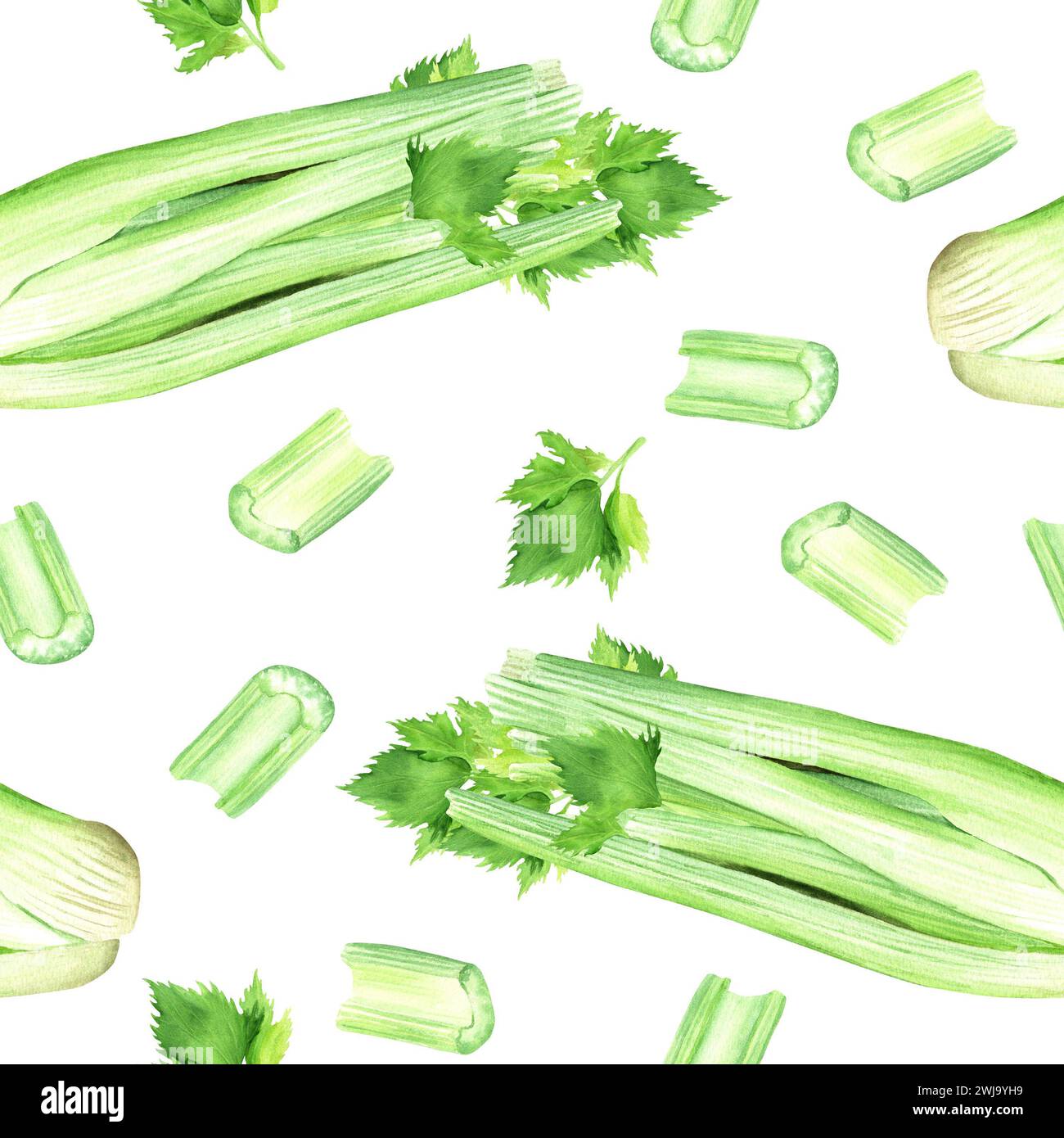 Watercolor seamless pattern with green vegetable celery. Hand drawn food illustration. For ...