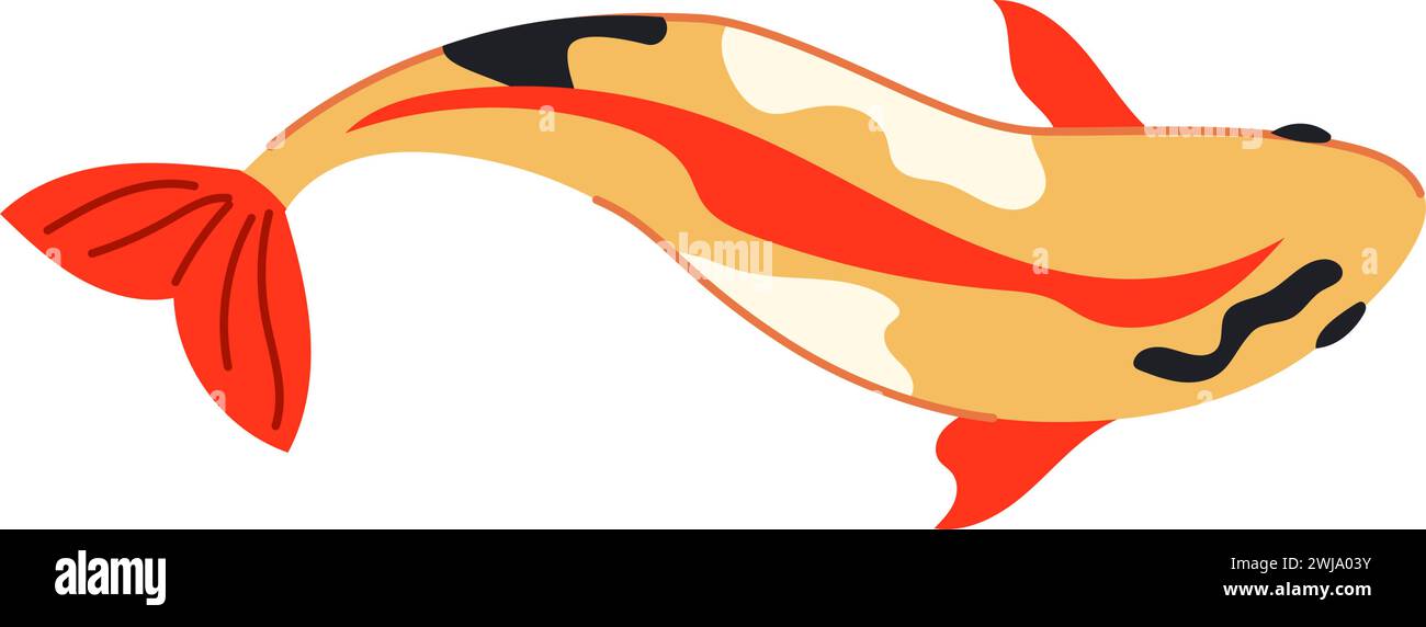 Coy carp illustration hi-res stock photography and images - Alamy