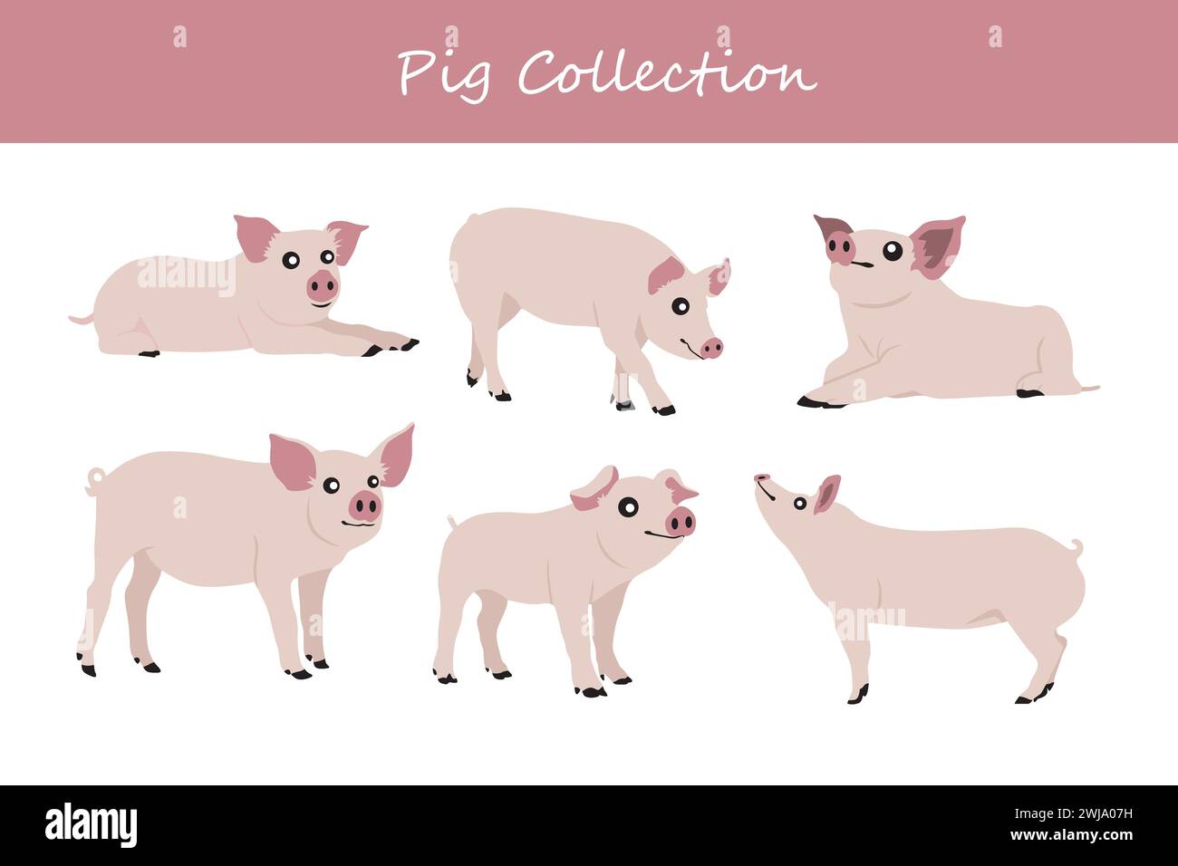 Set of cute pigs. Vector illustration. Isolated on white background ...