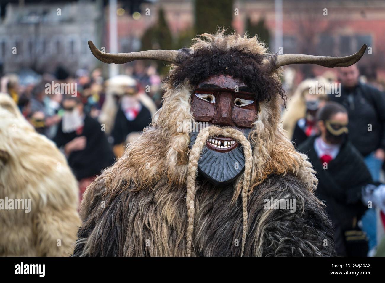 Mohács, Hungary - Feb 11 2024: Busó portrait on Mohács Busójárás 2024 ...
