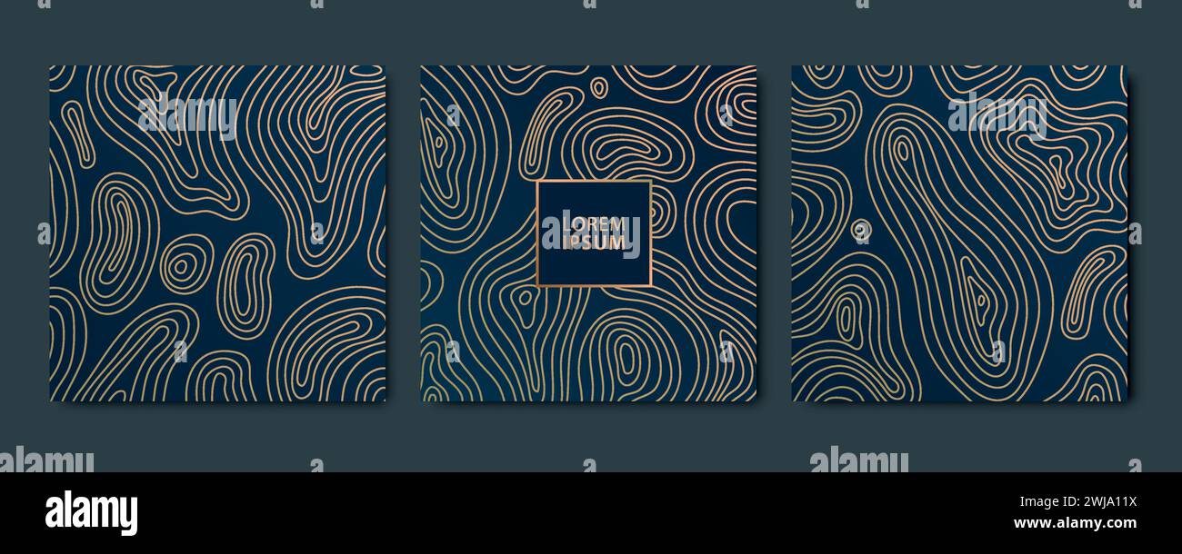 Vector set of line map gold patterns, typography contour textures ...