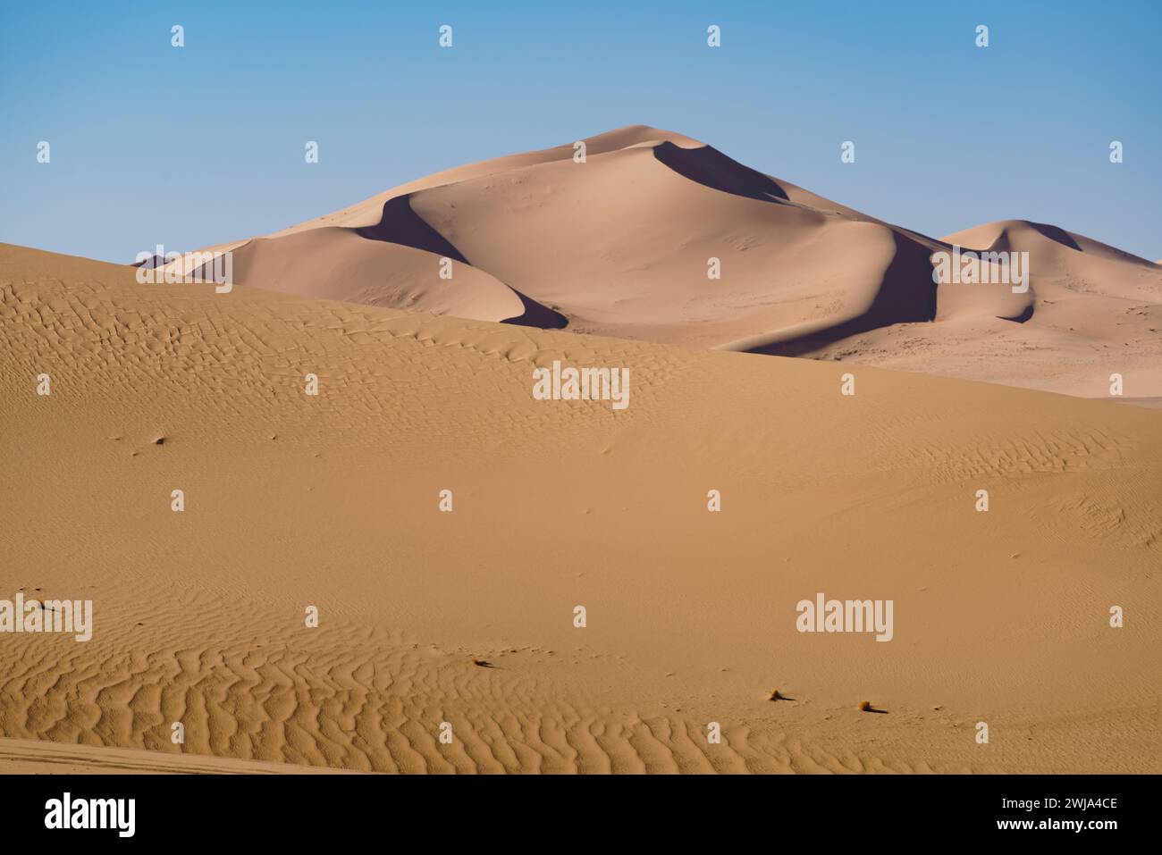 Expansive Saharan sand dunes with soft shadows and a clear blue sky ...
