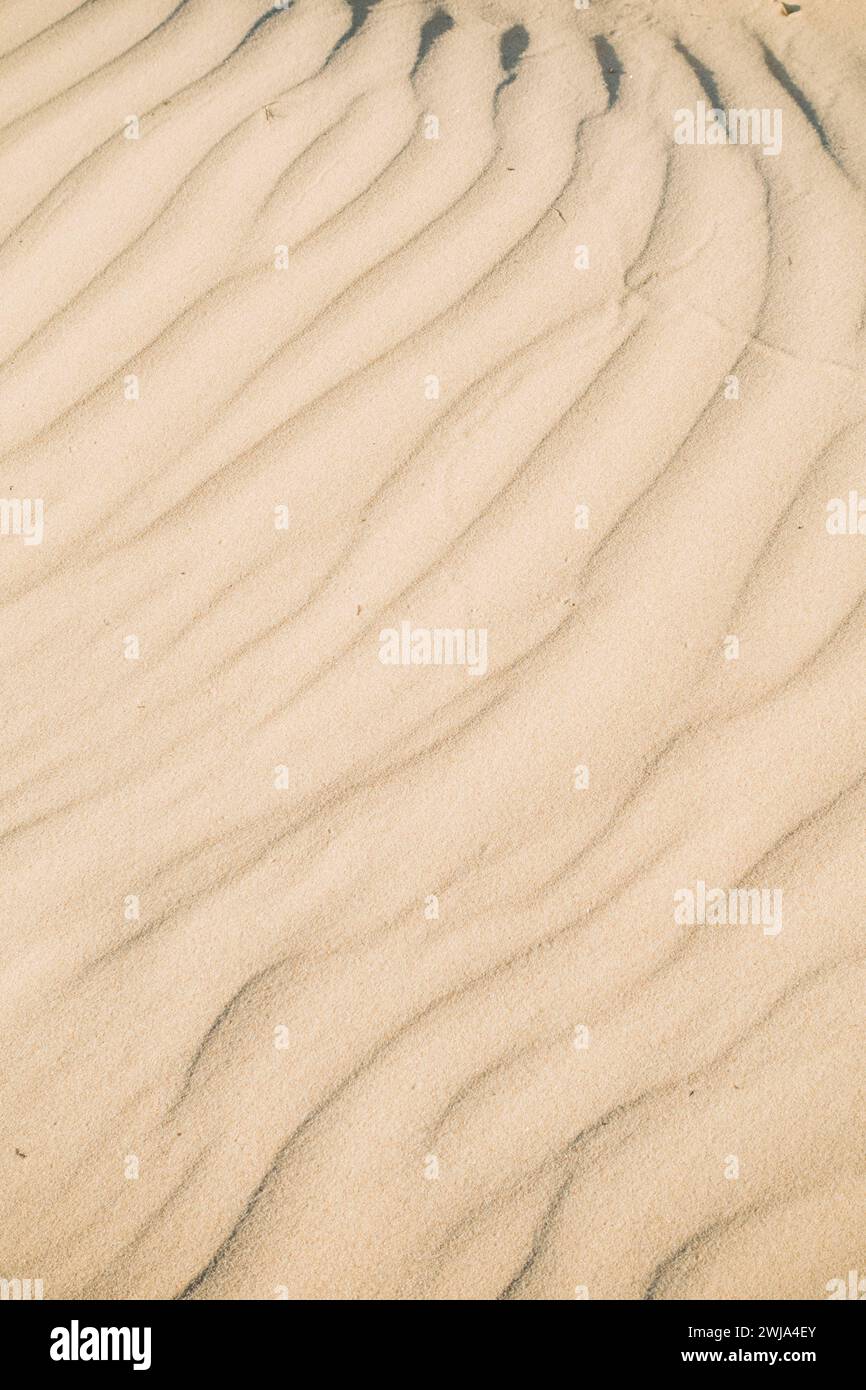 Monochrome sand dune patterns hi-res stock photography and images - Alamy