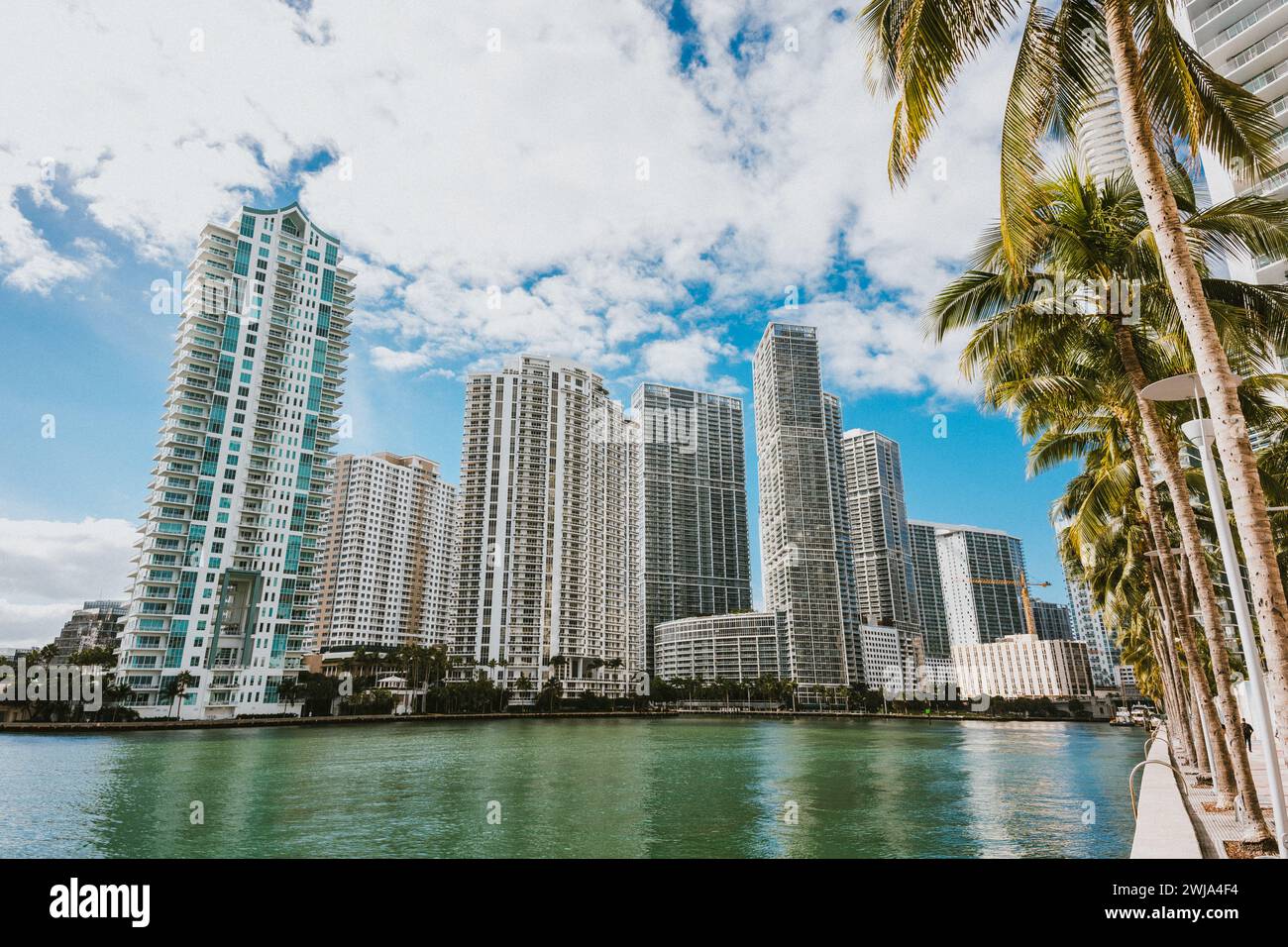A picturesque capture of Miami's urban skyline along with vibrant ...