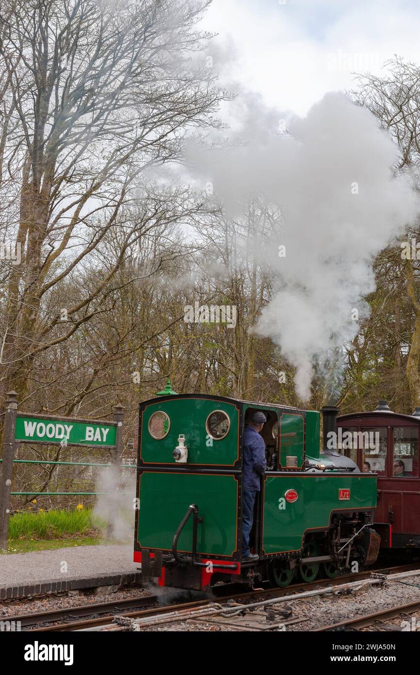 Narrow gauge steam locomotive "Axe" about to pull a train out of Woody ...