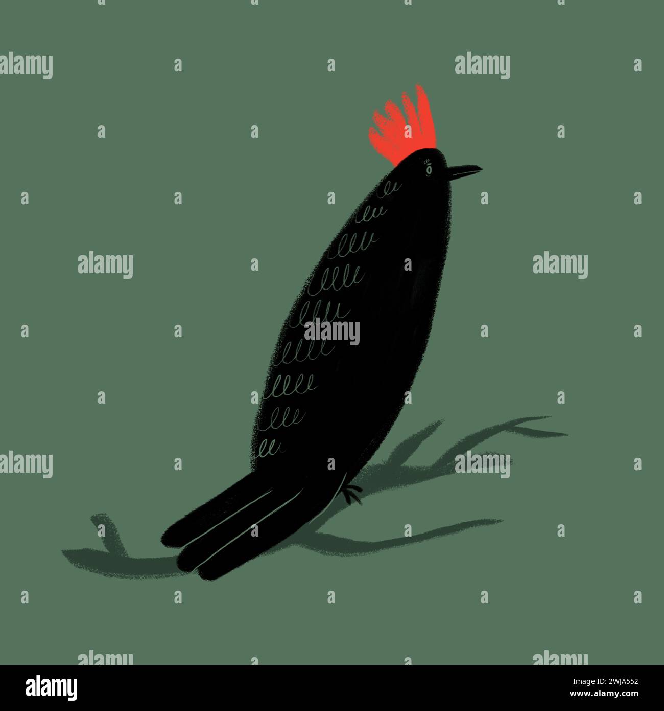 Minimalist illustration of a blackbird with a distinctive red crest on ...