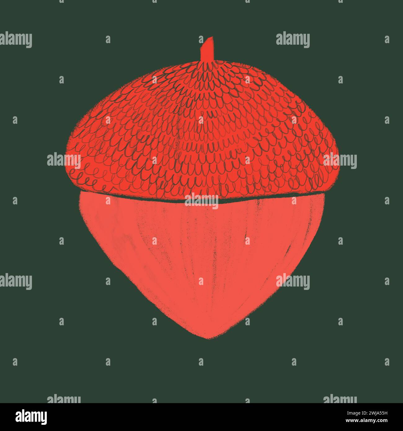 A vibrant red acorn drawing, with a detailed texture, set against a ...