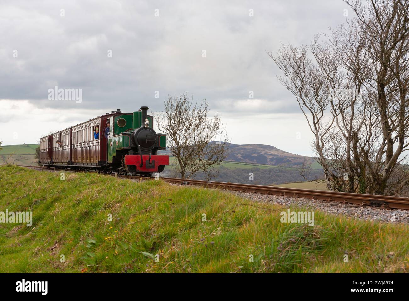 Steam train approaching Woody Bay station on the Lynton and Barnstaple ...