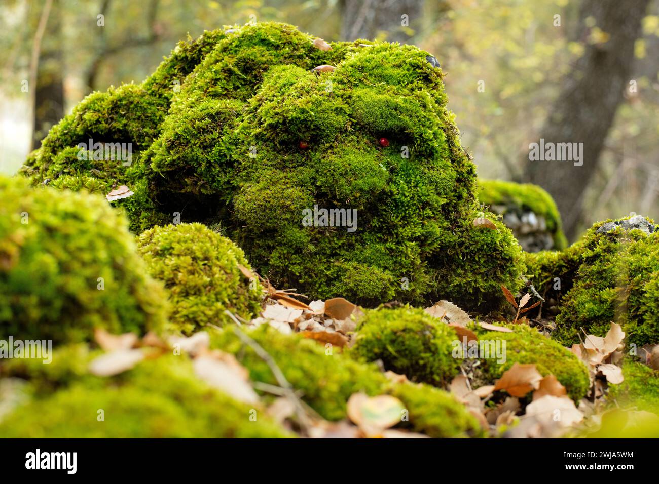 Enchanted forest scene with moss-covered stone resembling a mythical ...