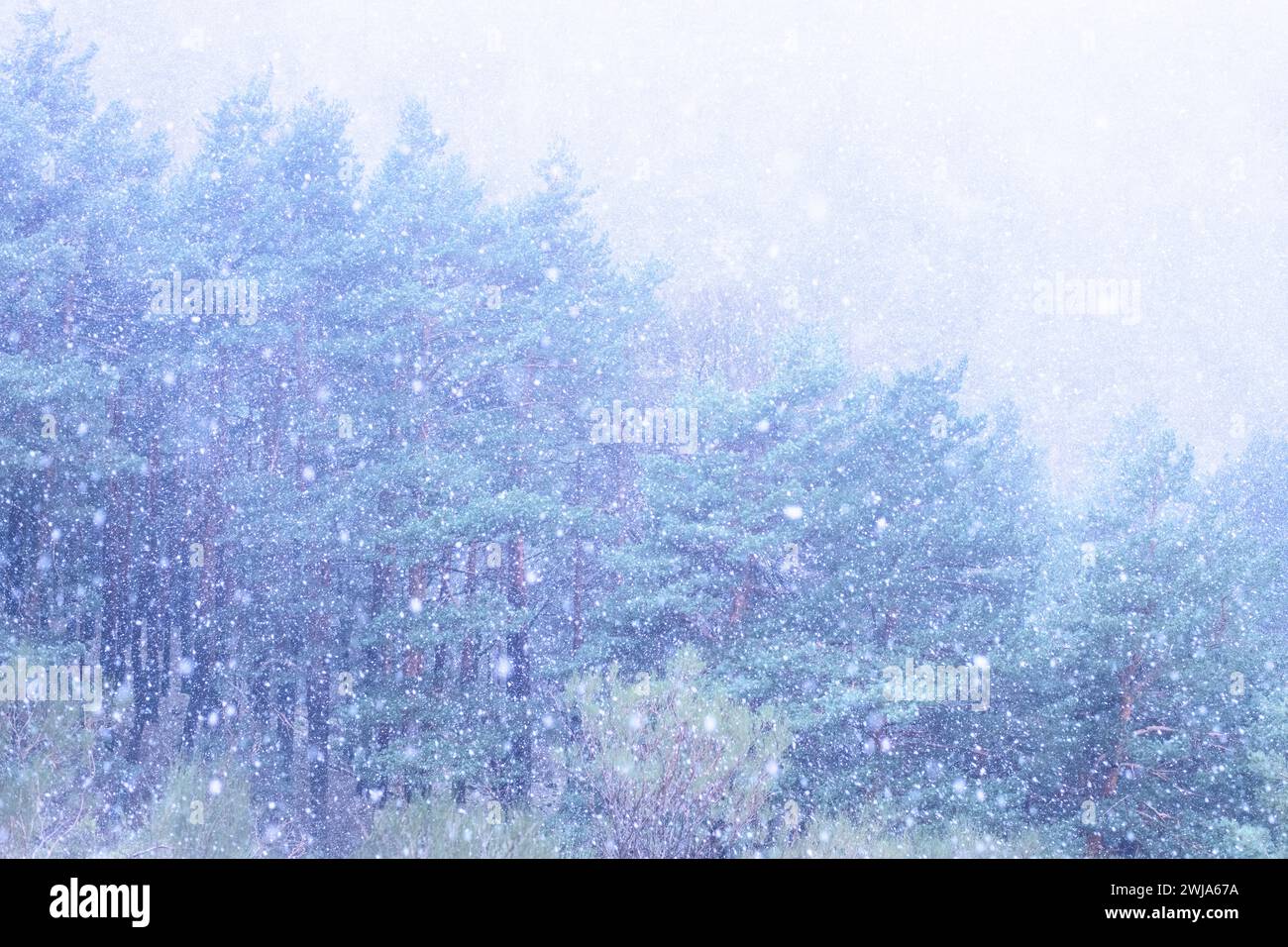 A tranquil scene captures gentle snowflakes falling amidst the hazy ...