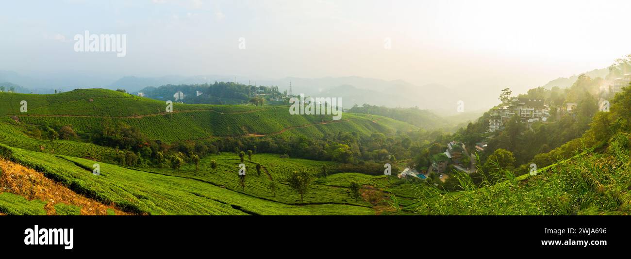 Munnar, Kerala. Panorama Landscape Photography of Tea Farm and ...