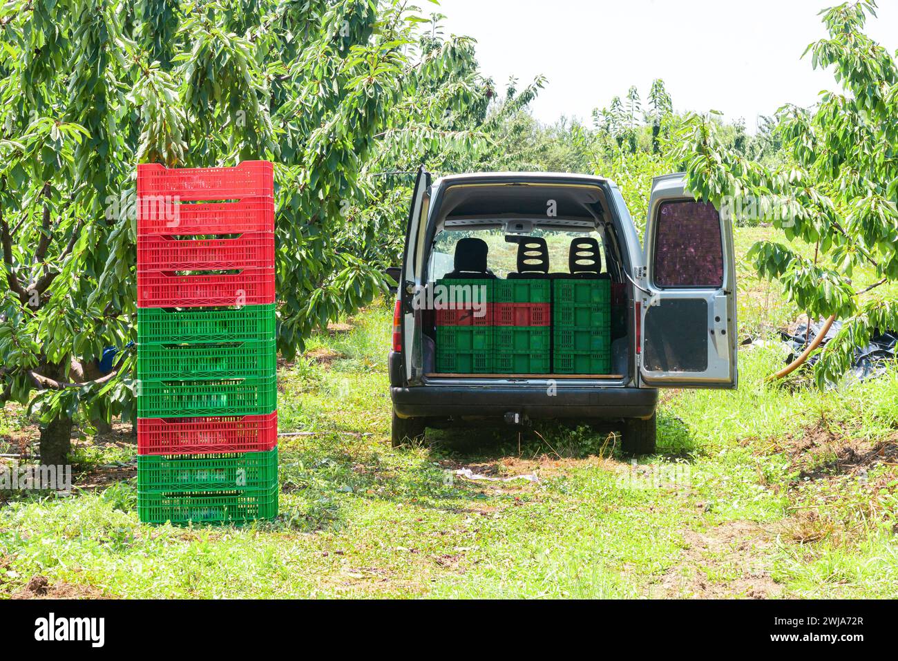 Parked van with opened rear door stacked with colorful plastic baskets ...