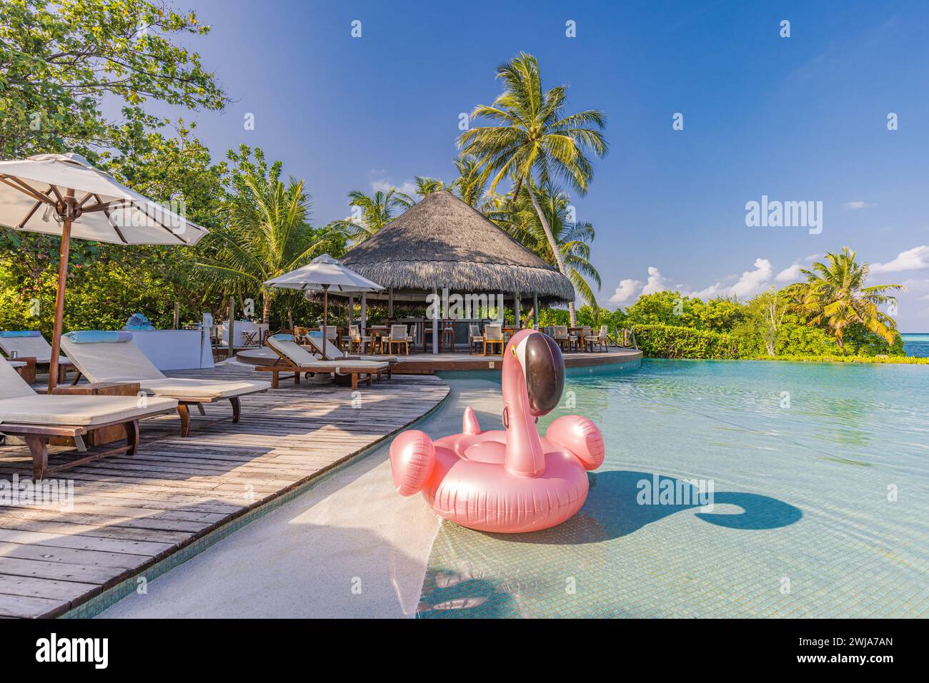 Summer tourism swimming pool inflatable pink flamingo, luxury resort ...