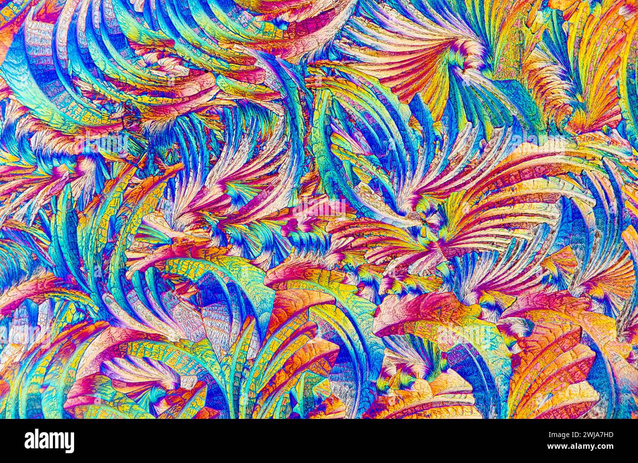 A stunning display of salicylic acid crystal patterns under the ...